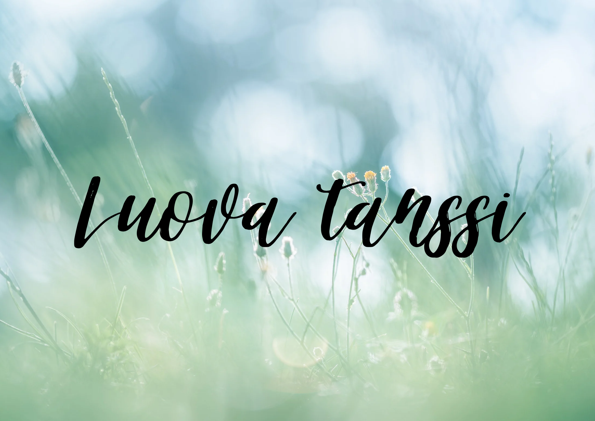 Luova tanssi - Palvelut - Kulttuuripankki