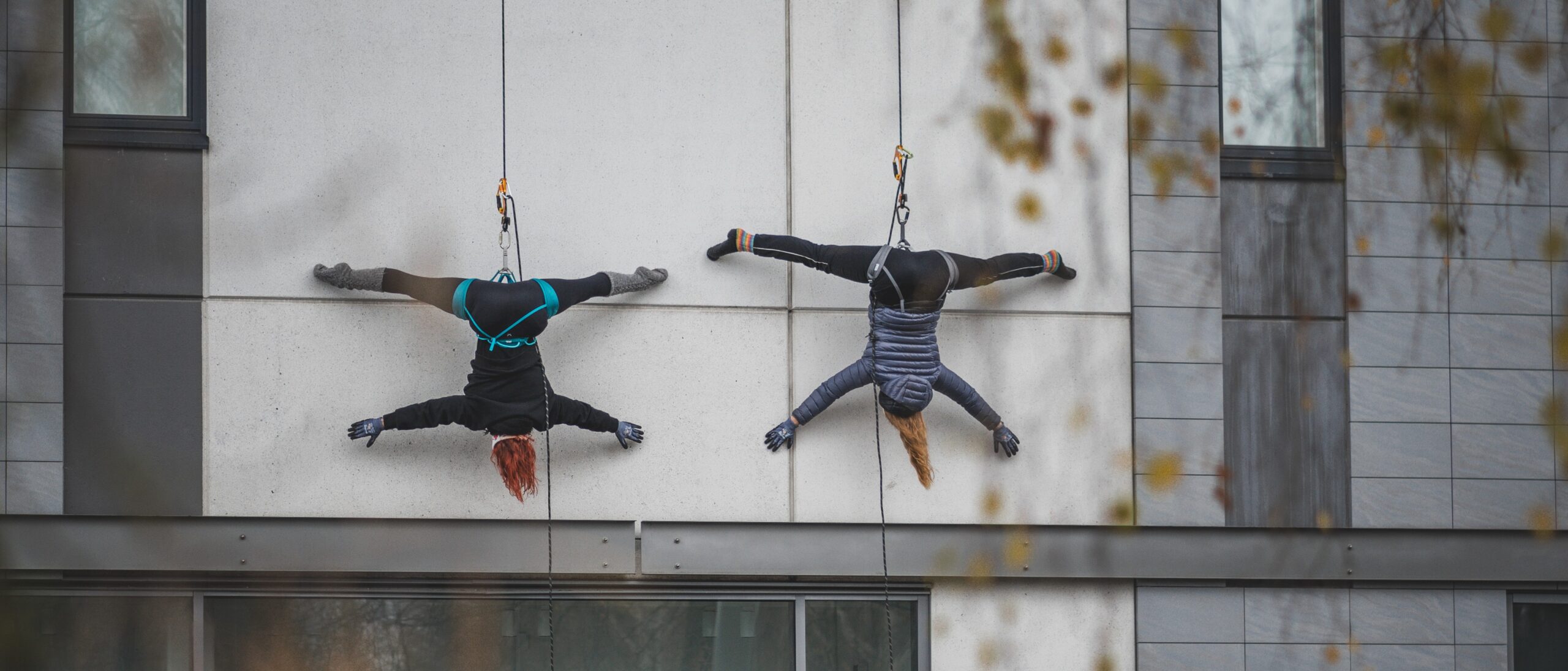 Wall dance performance - Palvelut - Culture Bank